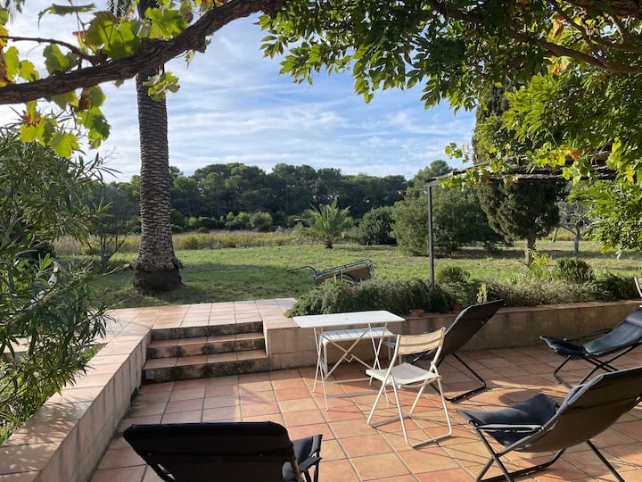 ÎLe Porquerolles à La Campagne - Porquerolles