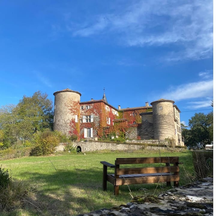 Château De Montcuquet, Lautrec - Privatisation - Castres