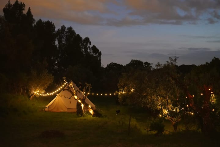 Off-grid Farm Bell Tent - Portugal