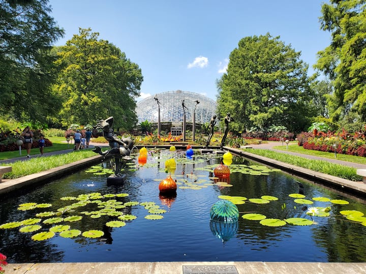 Travelers Luxury Summer Stay! - Saint-Louis, MO