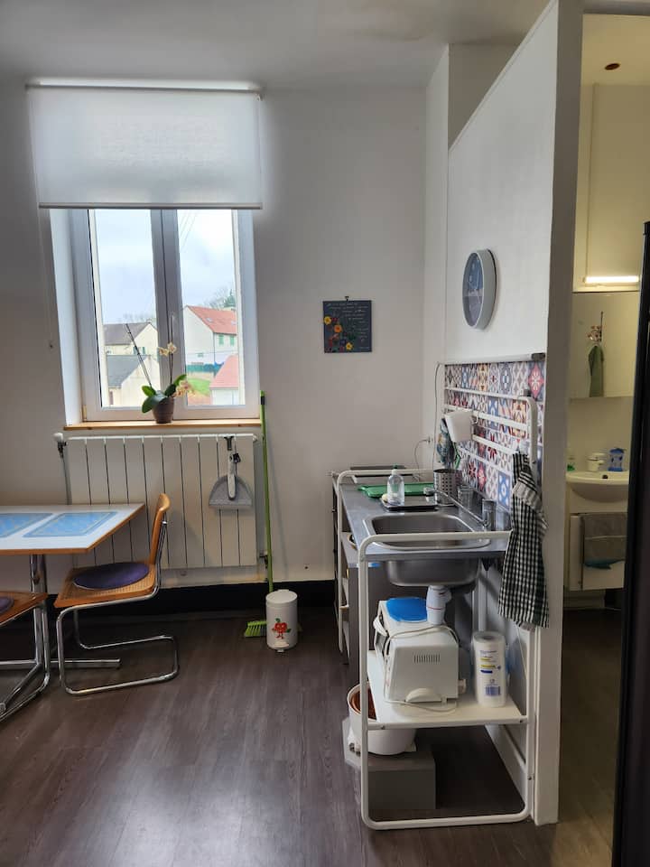 Studio De 27 M² Très éClairé - Guignicourt