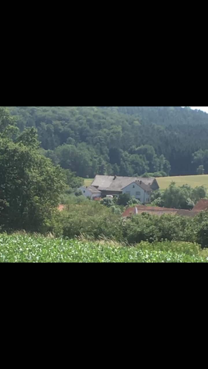 Ferienwohnung Auf Aussiedlerhof - Frankenberg (Eder)