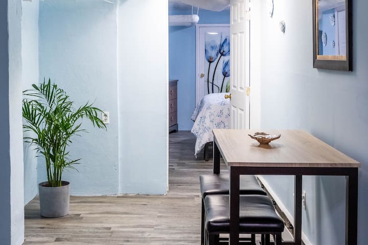 Boston City Living In Comfort! - Hyde Park - Boston
