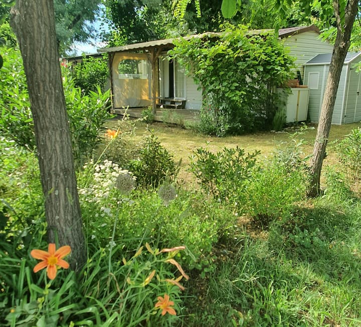 Mobil Home Arboré Proche Rivière - Ruoms