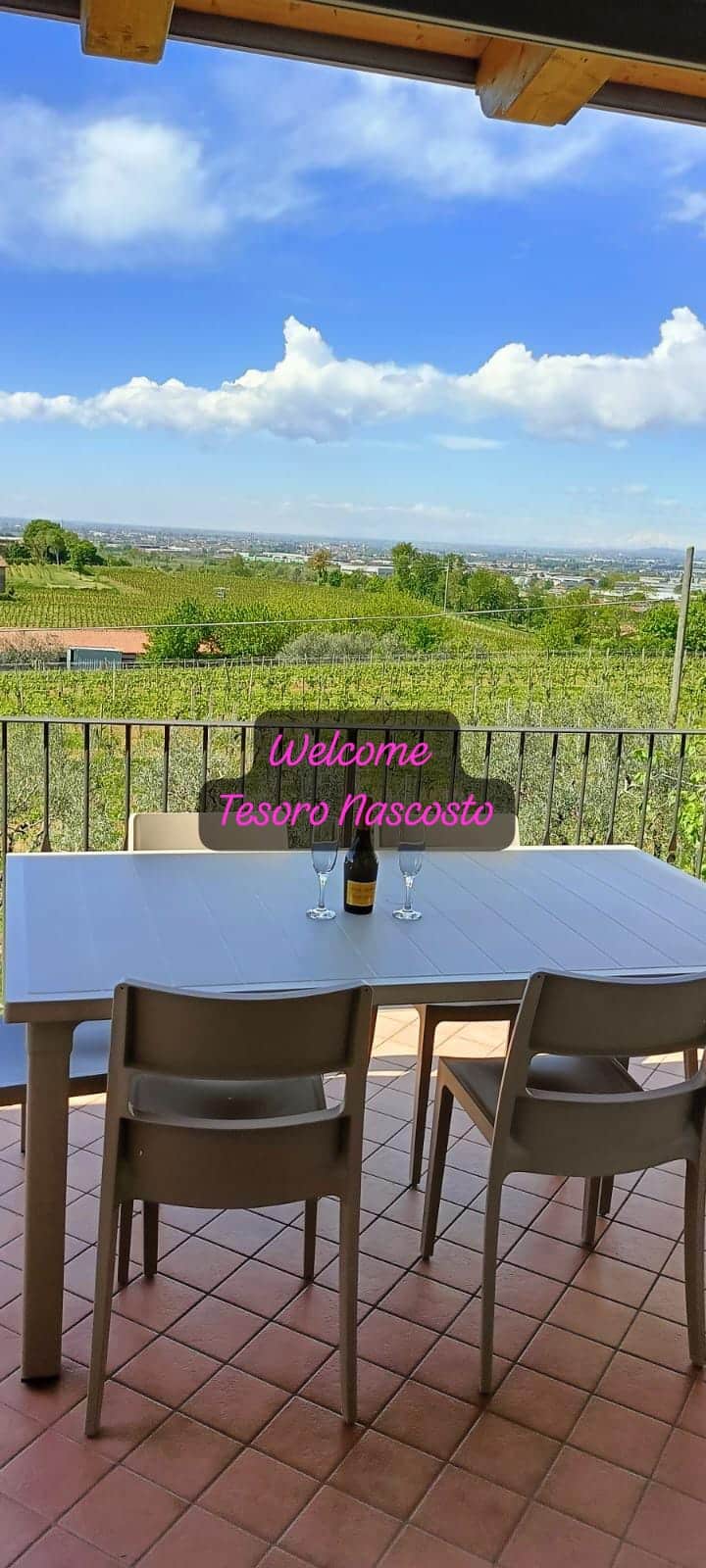 Tesoro Nascosto Franciacorta X8 (017002-lni-00001) - Iseo