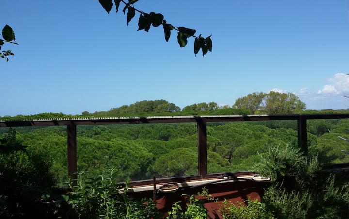 Attico Mare Verde - Italia