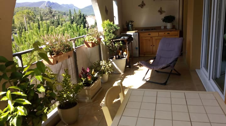 Appartement Avec Terrasse - ibis budget Brignoles Provence
