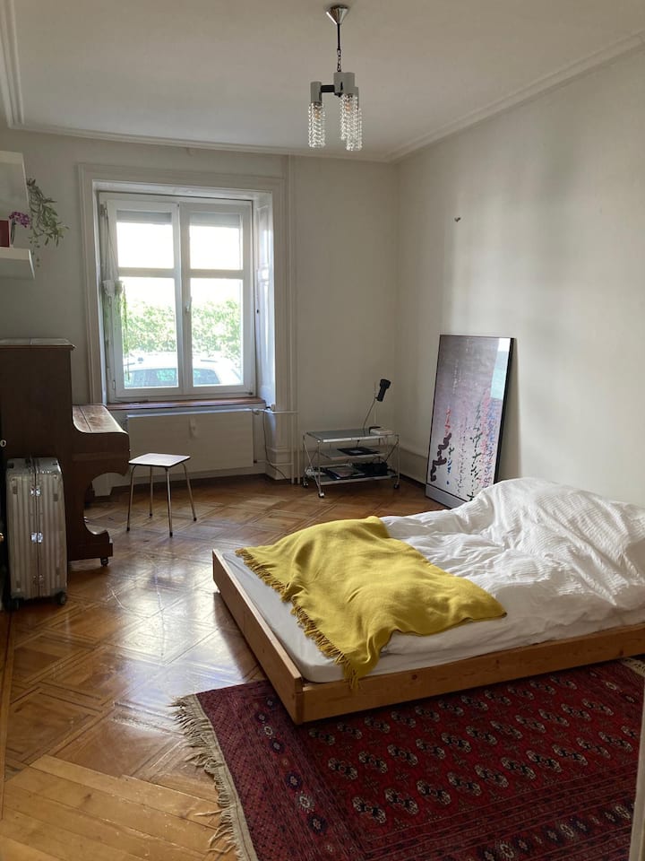 Wundervolle Altbauwohnung - Basel