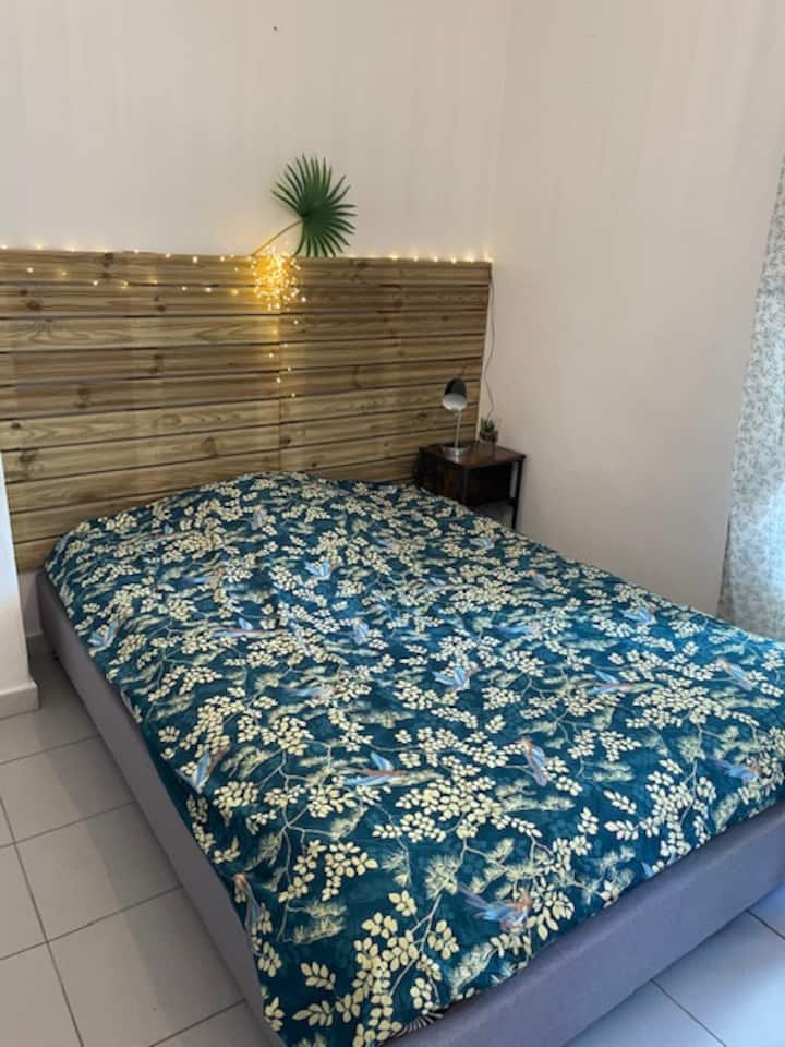 Chambre à Louer La Timone - Marseille