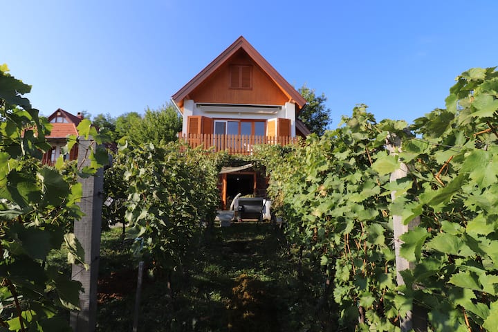 Lekics Pince Vendégház - Vonyarcvashegy