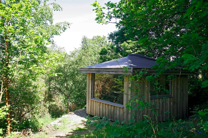 Oak Forest Paradise - Llanberis