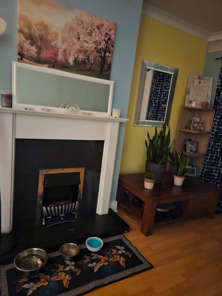 Modern 1 Bed With Large Terrace - Dublin