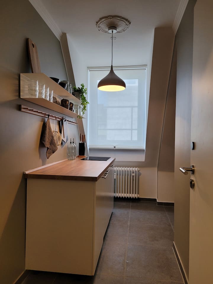 Room "Aiplspitz" 606 - Múnich
