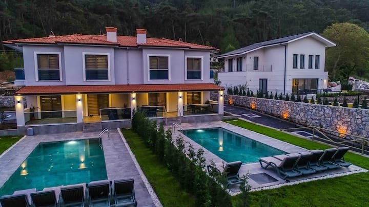 Palmea Villa 1 - Akyaka