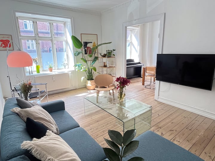 Roomy, Cozy & Central Apartment - Copenhaguen