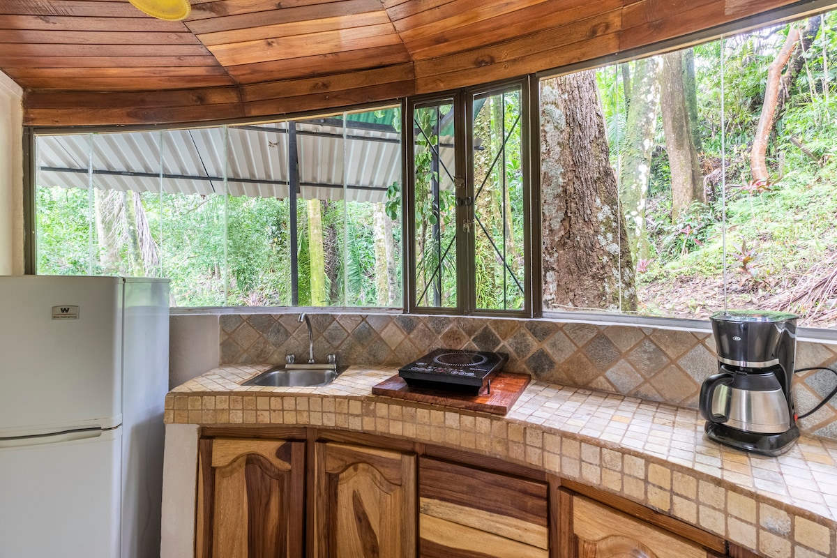 Romántica cúpula en la selva con aire acondicionado y piscina - Hoteles ...