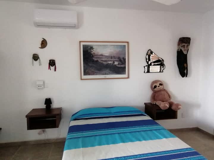 Estudio Numero 3 - Manzanillo