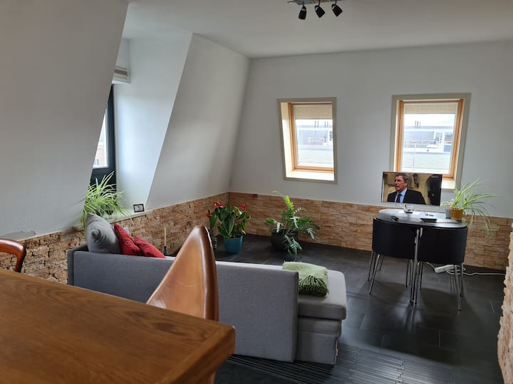 Spacious Appartement Westerpark Longterm Stay - Zaandam