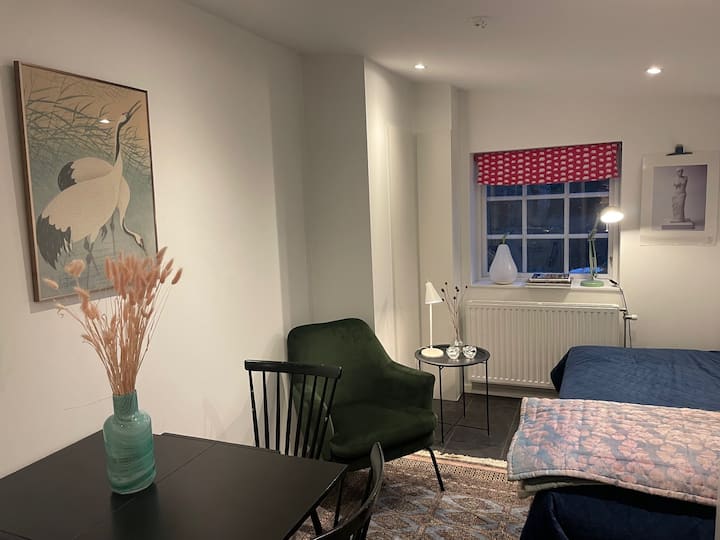 Gårdshus Med Takfönster - Malmö