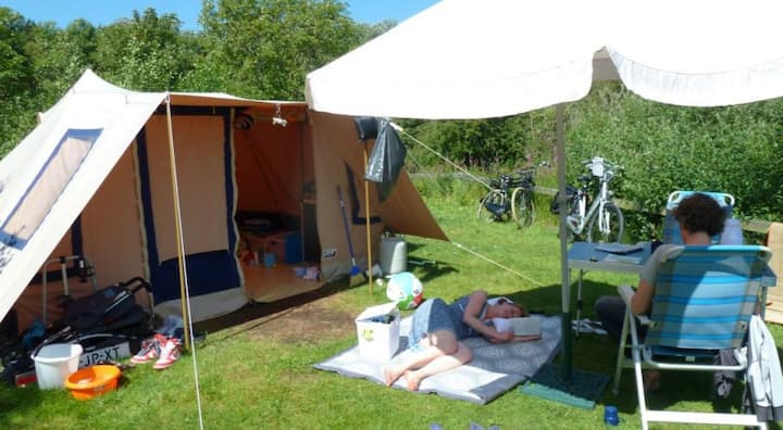 Oerd 1 - Ameland