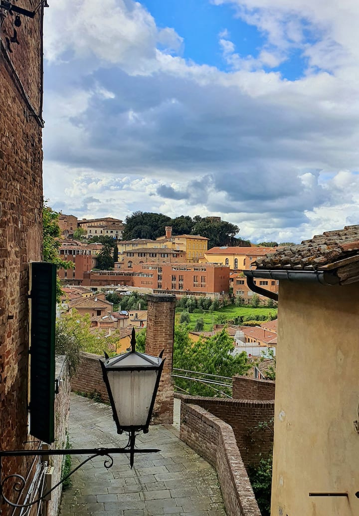 Guest House Via Dei Rossi - Siena