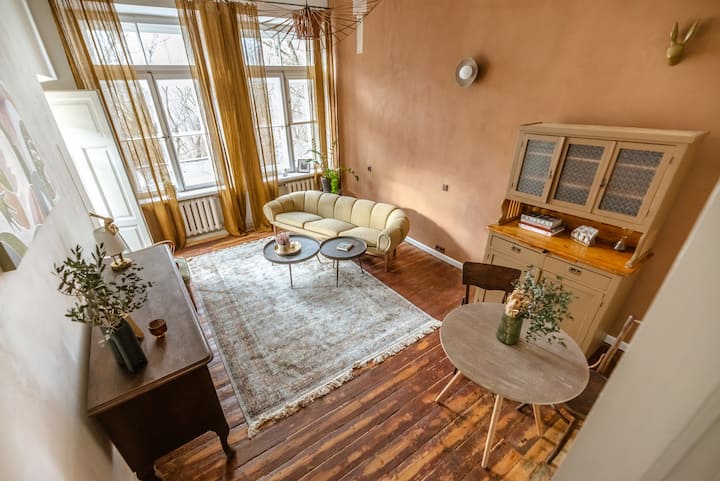 Historic Vilnius Apartment - Vilnius