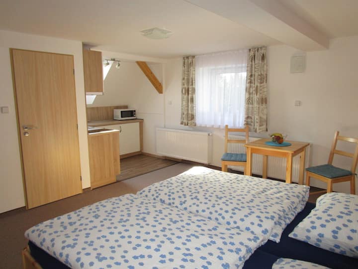 Dvoulůžkový Apartmán - Franzensbad