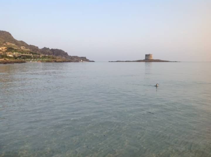 Tranquillo E Vicino Alle Spiagge - Stintino