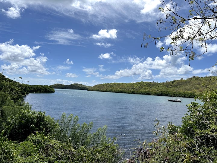 Au Coeur De La Baie Des Mulets - Martinique