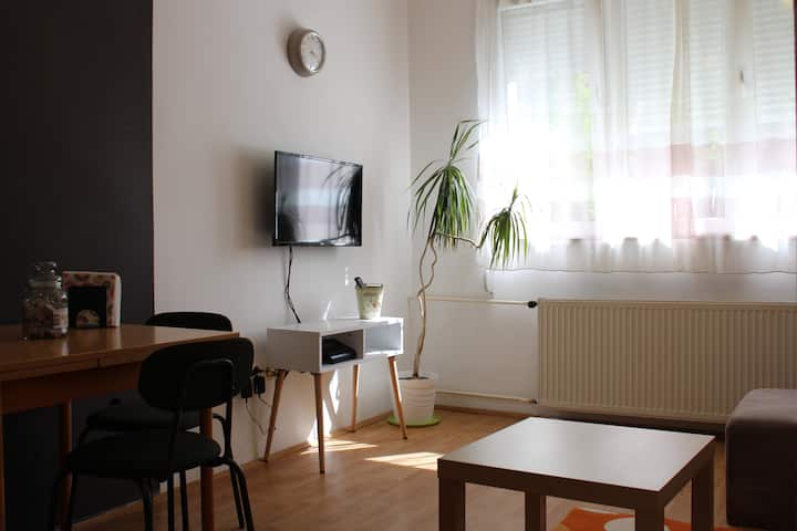 Dorcol Quince Apt. - Belgrade