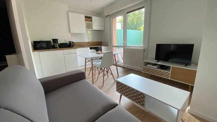 « Le Scandinave »  T2 Wifi, Terrasse Et Parking - Thonon-les-Bains
