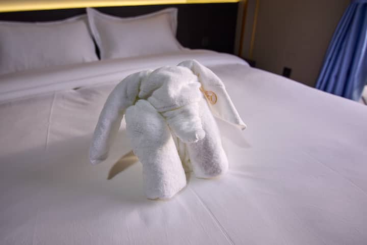 豪华市景房Deluxe Room/city View - Palau