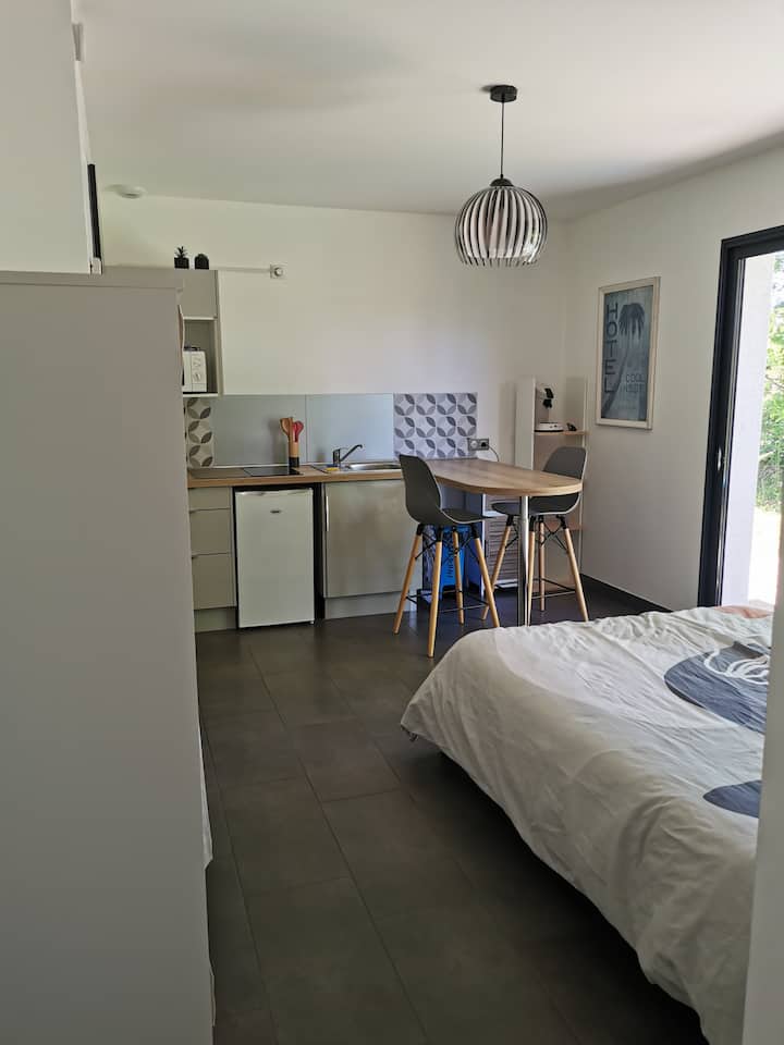 Agréable Studio Indépendant - Biscarrosse