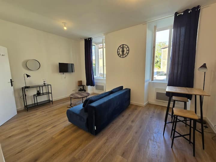 Studio Lumineux 25m2 - Centre Ville Mazamet - Mazamet