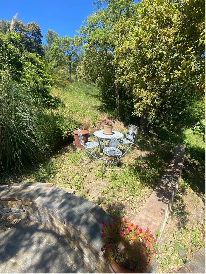 Le Studio Dans La Colline - Plage de Hyères