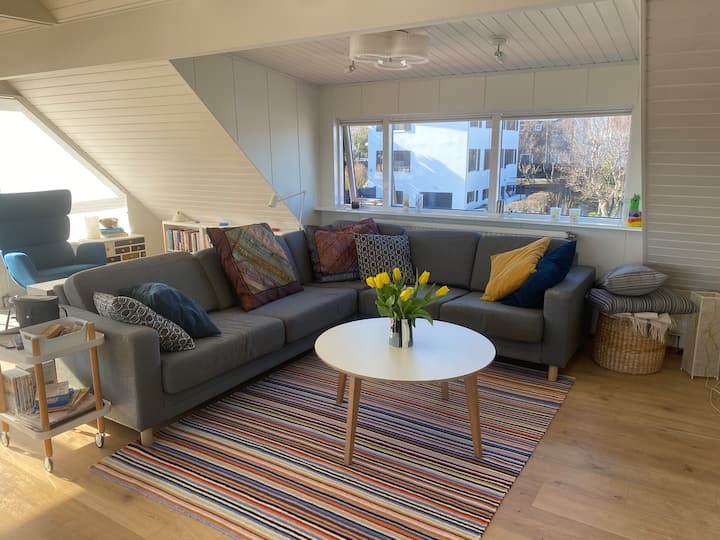 Loft-style Apartment - Reykjavík