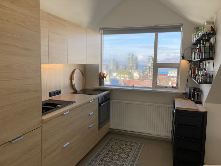 Frábær Staðsetning Með úTsýni. - Reykjavik