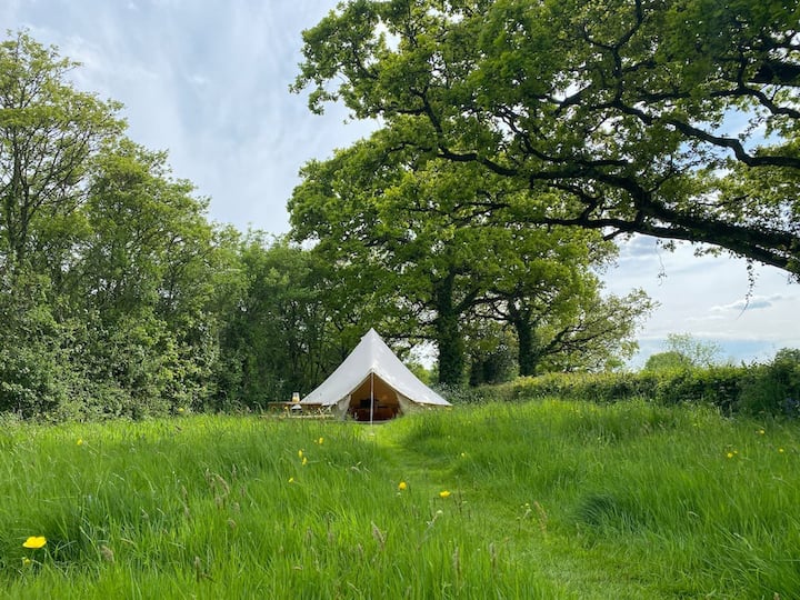Bluebell - Back To Nature Stay Near Exeter - Exeter