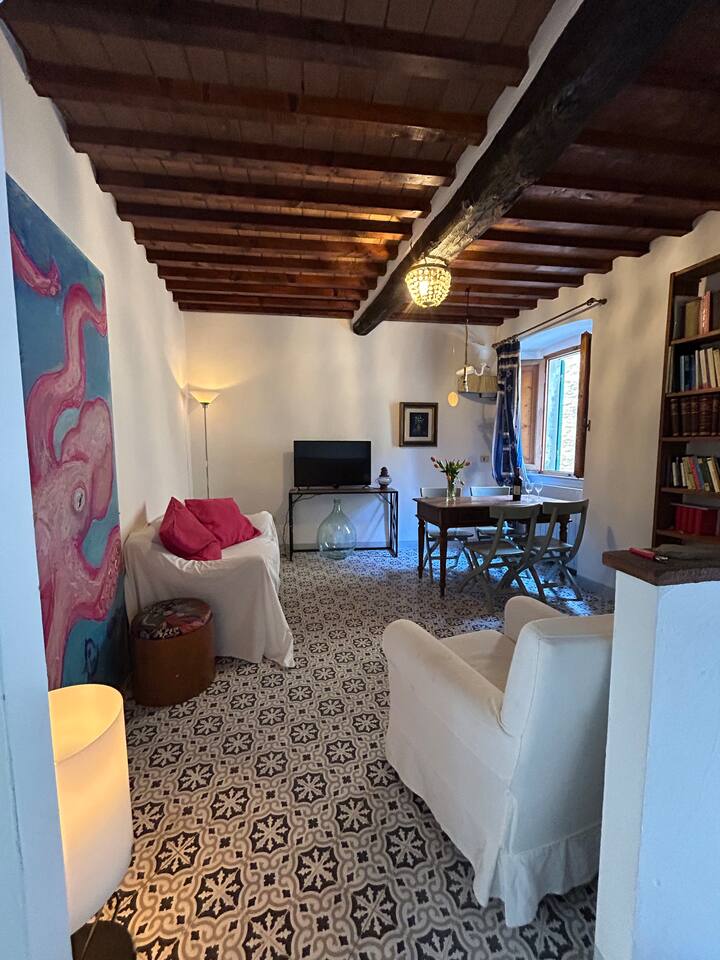 La Casa Del Polpo Rosa - Campiglia Marittima