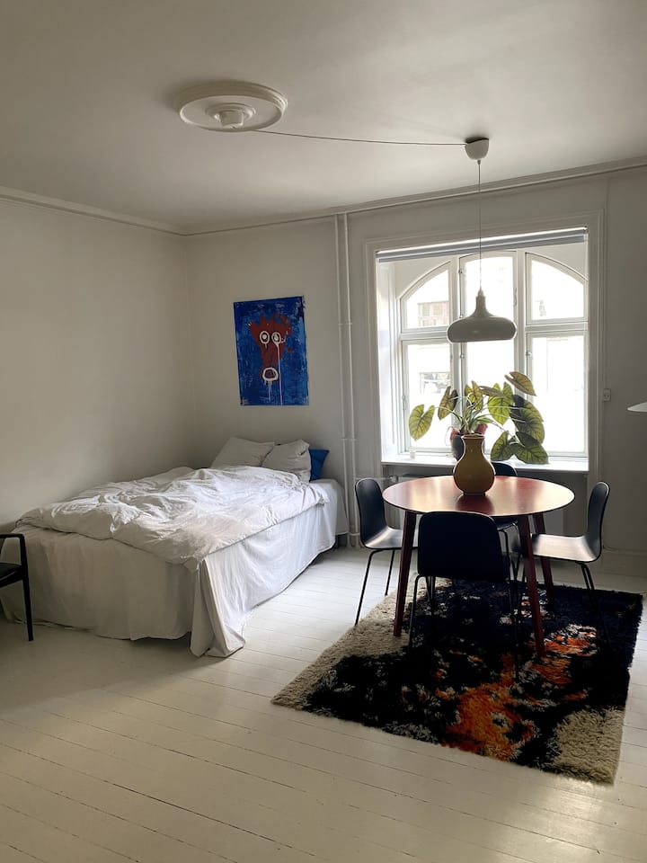 Centralt Beliggende Lejlighed - Copenhaguen