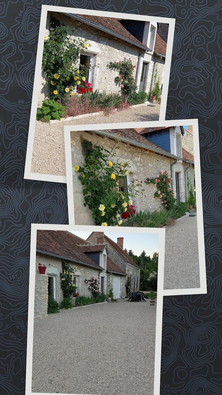 Gîte Pierre Et Charme 2/4 Pers. - Cheverny