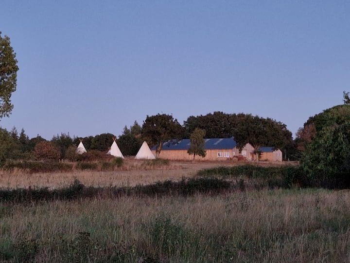 Tipis En Pleine Nature - Dol-de-Bretagne