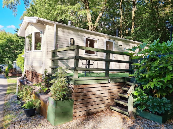 The Hollies Static-dog Friendly - Beddgelert