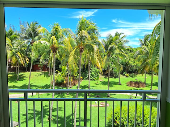 Plage Et Piscine, Vue Cocoteraie, Anse Des Rochers - Guadeloupe