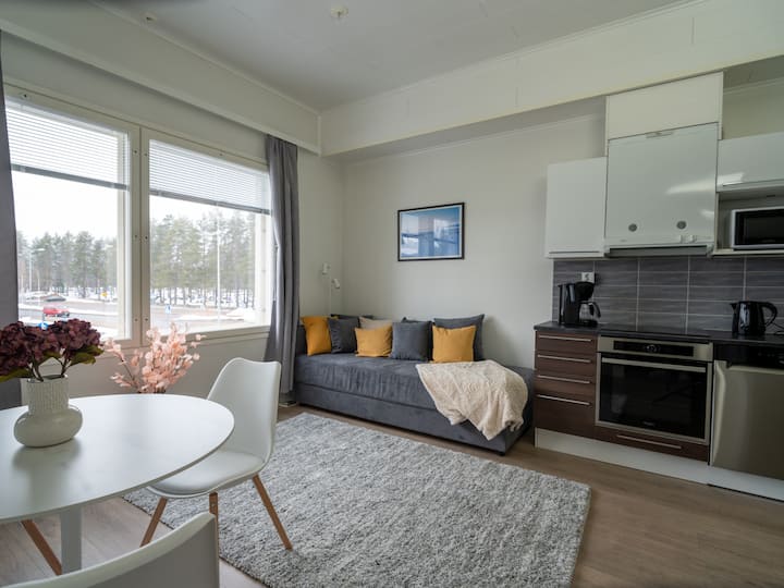 Saunallinen Kaksio Koivu - Lapland