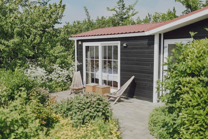 Ruime Studio Op Natuurontwikkelingsterrein - Oostkapelle