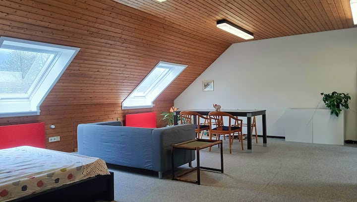 Big Cozy Family's Apartment - Hanover