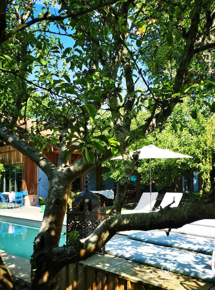 Maison Bois Entre Océan Et Lac - Saint-Girons Plage