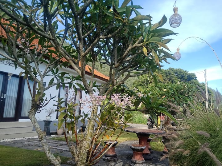 The Pohucu Hill Kintamani - Besakih