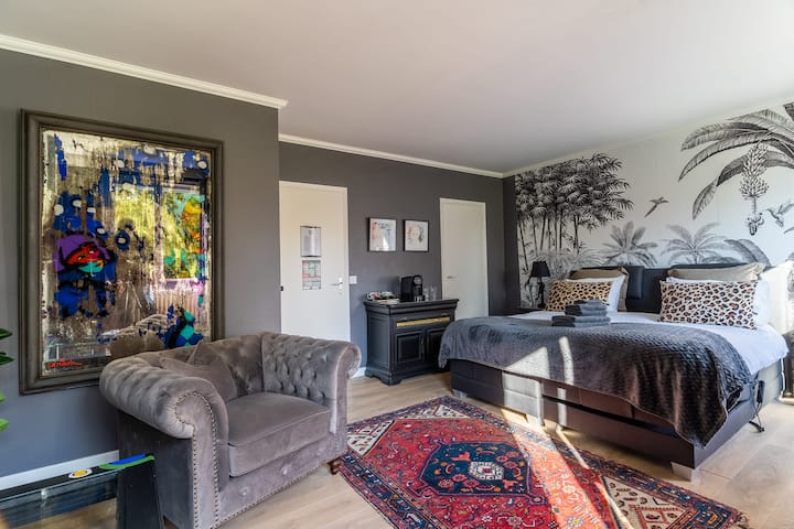 Chambre D'hôtes Orion - Mazamet